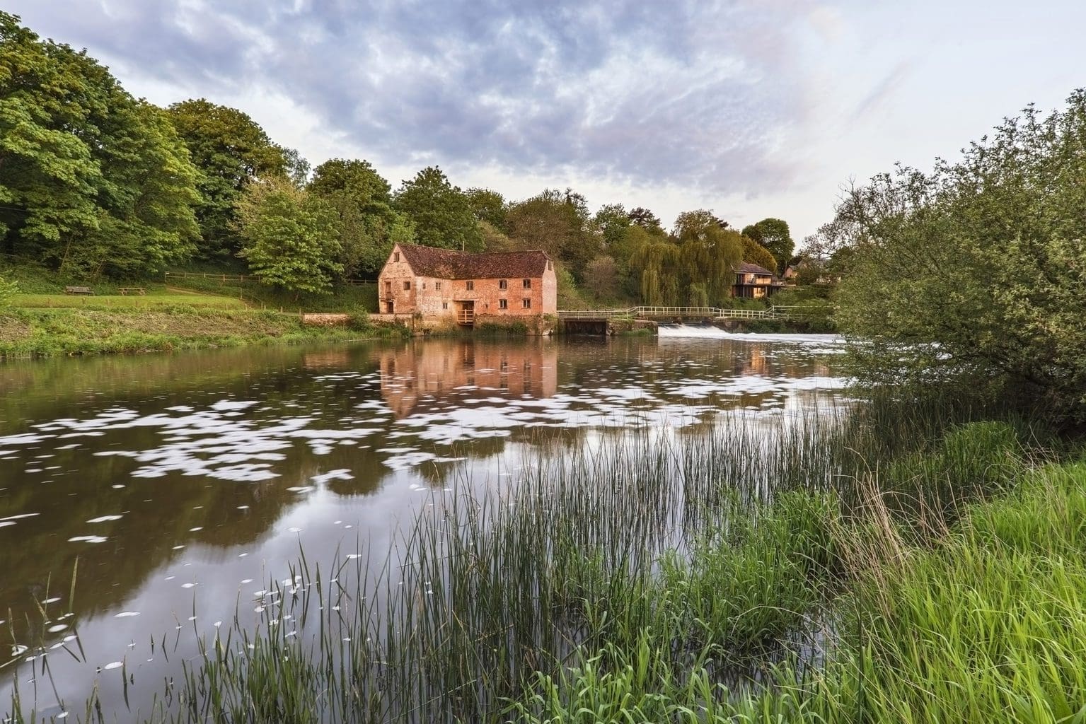 14 of the Best River Walks in Dorset