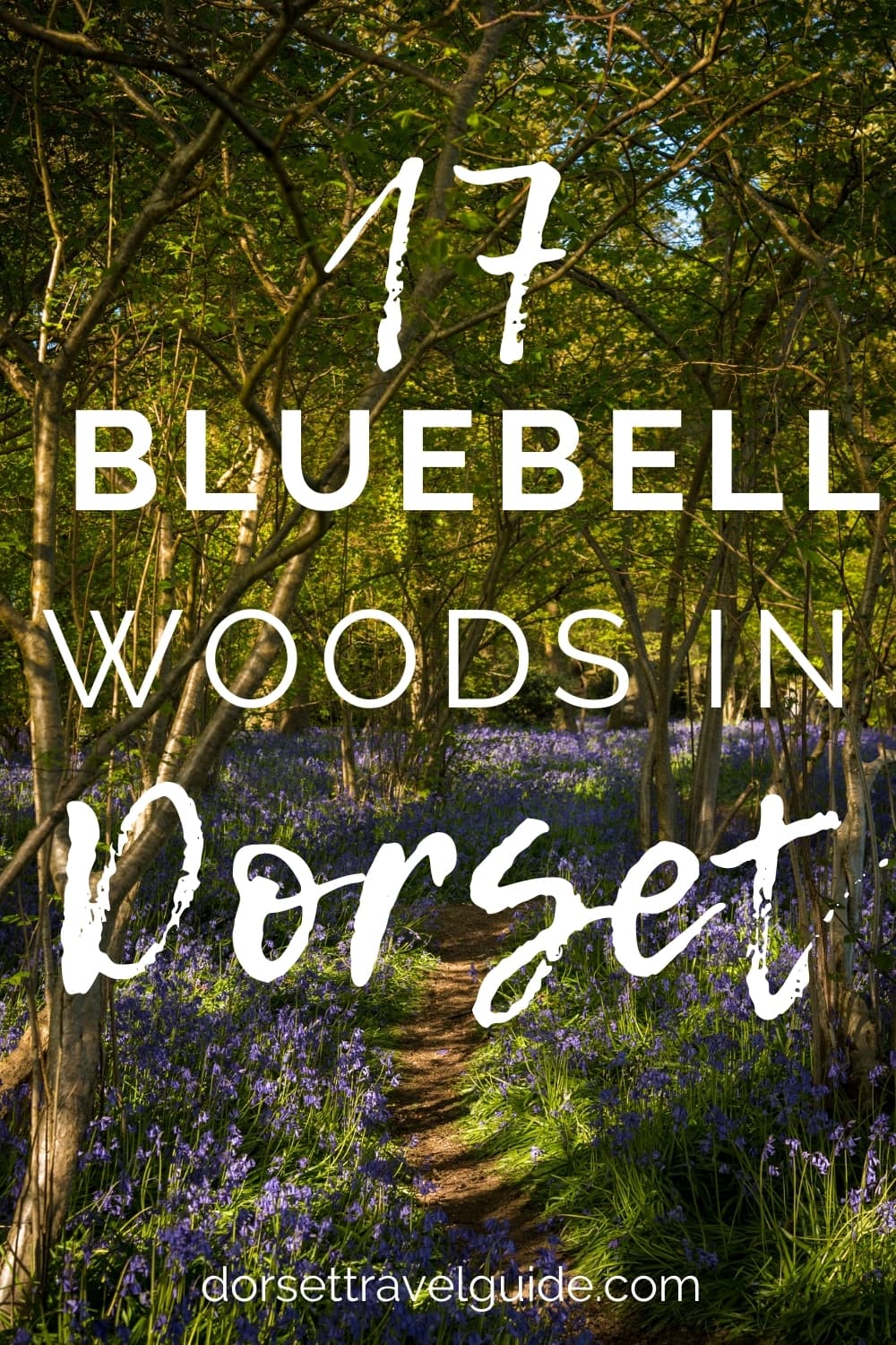 18 of the Best Springtime Bluebell Woods in Dorset