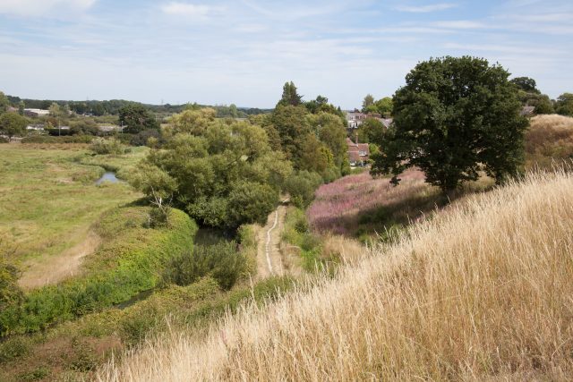 20 of the Best Things to do in Wareham Dorset