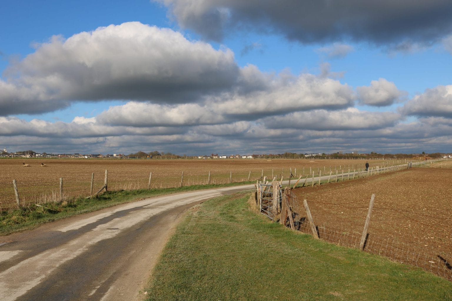 Maiden Castle Walk - 5 Mile Circular from Poundbury