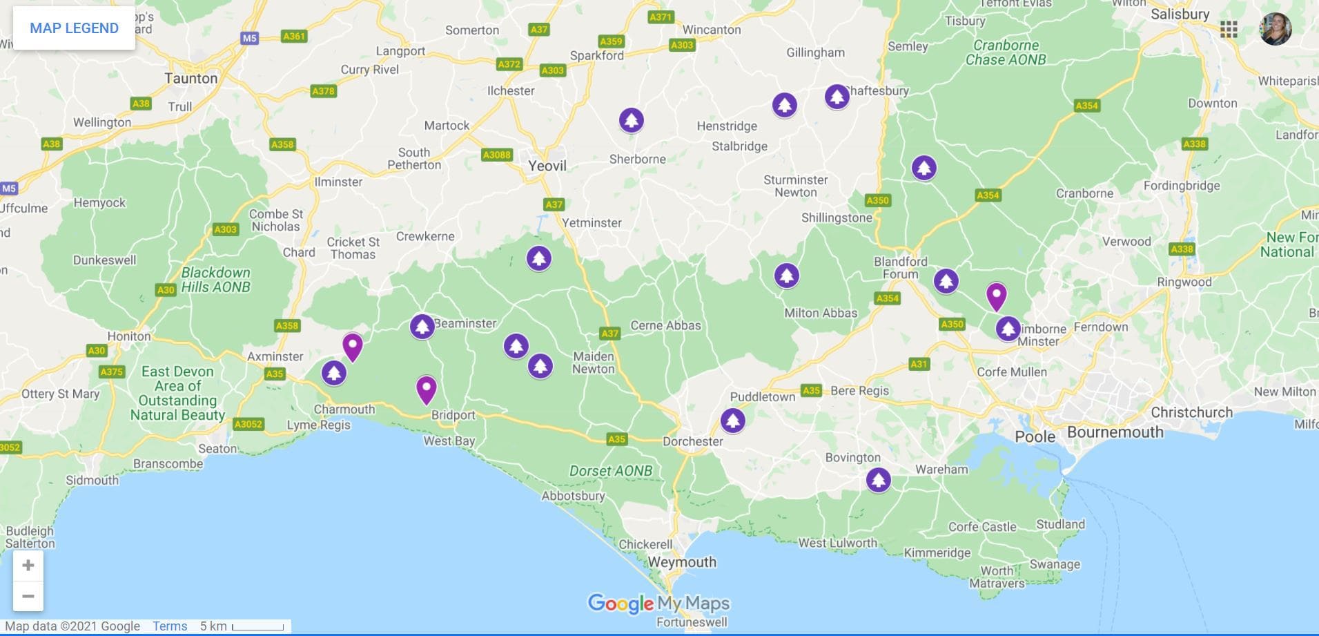 18 of the Best Springtime Bluebell Woods in Dorset