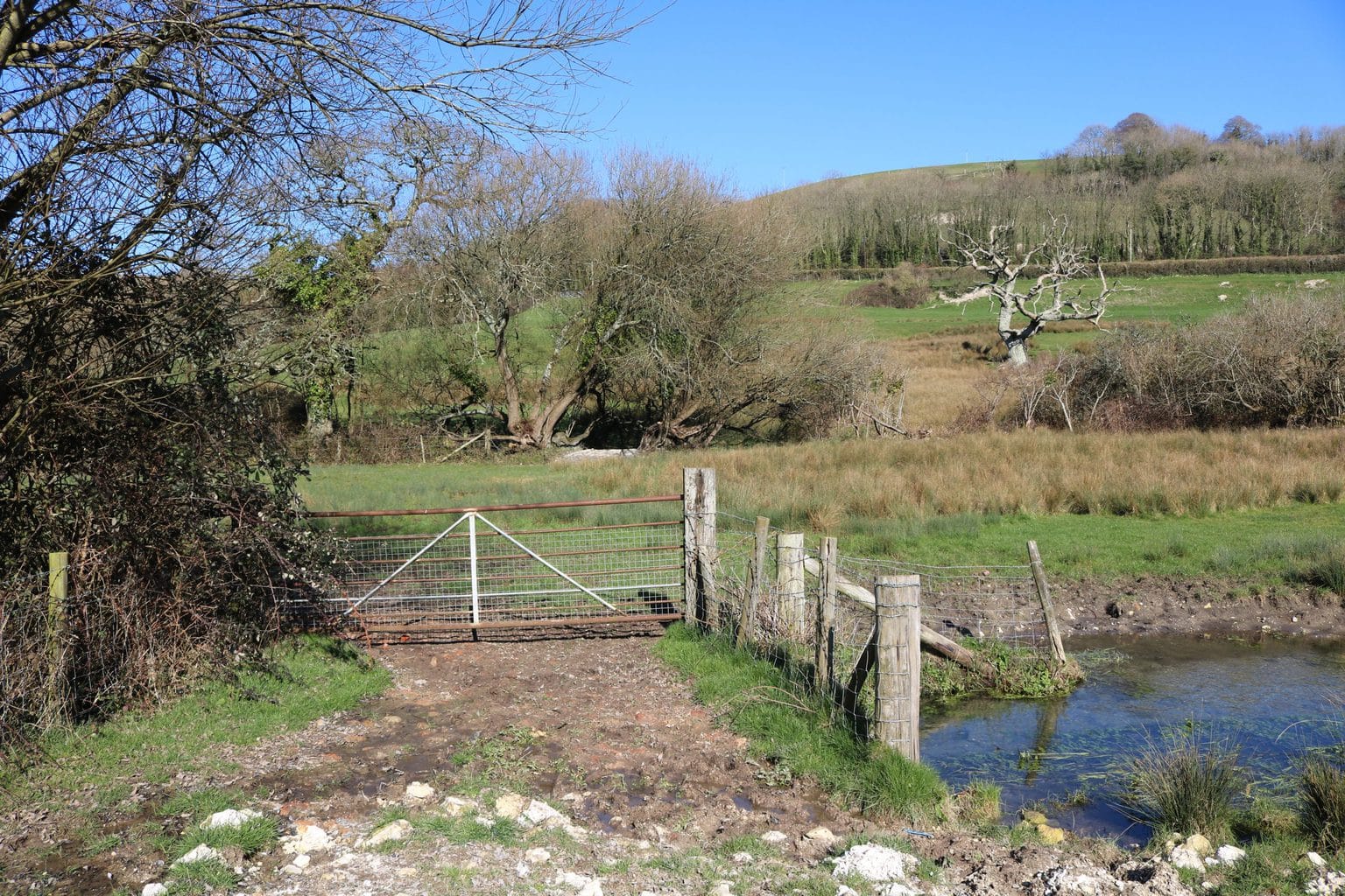 Hardy Monument to Littlebredy Walk - 9 Mile Circular