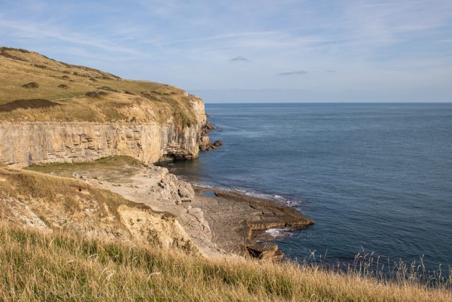 Scratch Arse Ware and Dancing Ledge Walk: 3.4 Mile Circular