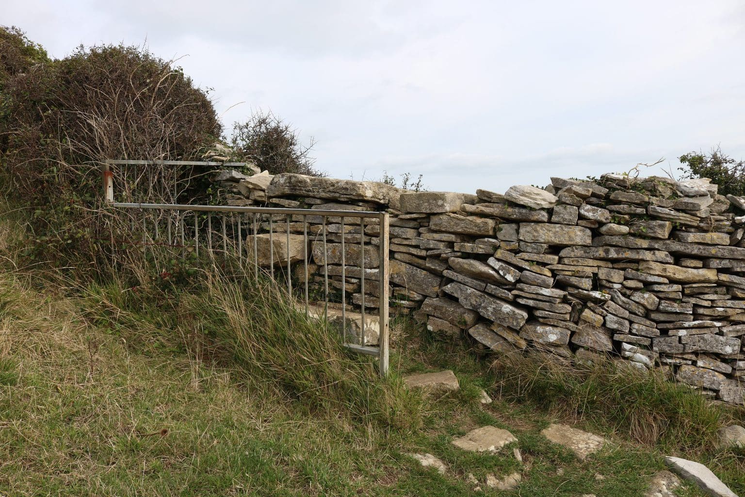 Dancing Ledge Walk: 5.5 Mile Circular From Durlston in Swanage