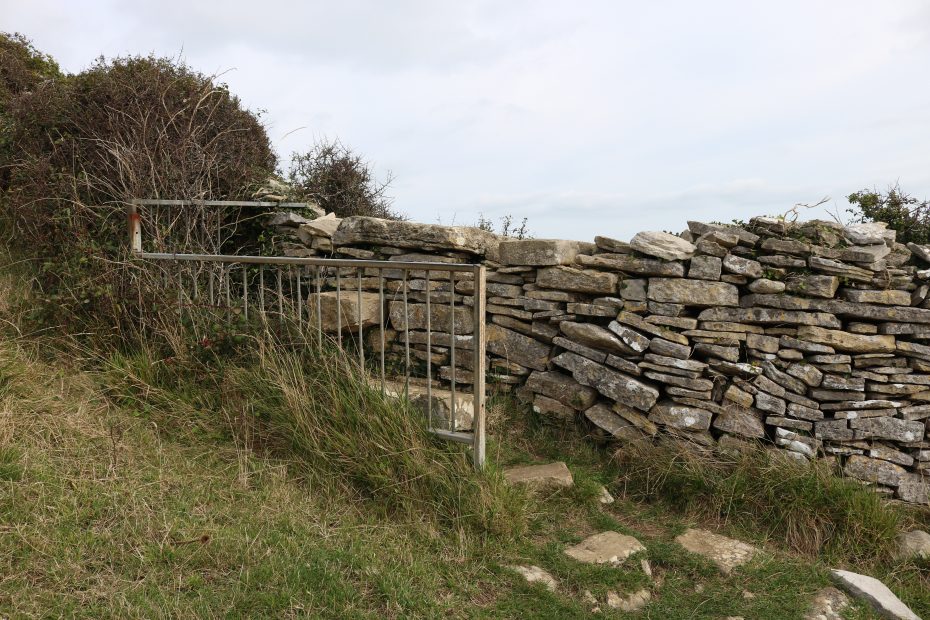 Dancing Ledge Walk: 5.5 Mile Circular From Durlston in Swanage