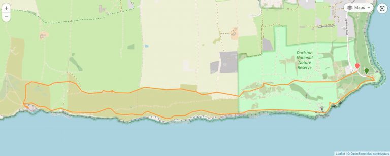 Dancing Ledge Walk: 5.5 Mile Circular From Durlston in Swanage