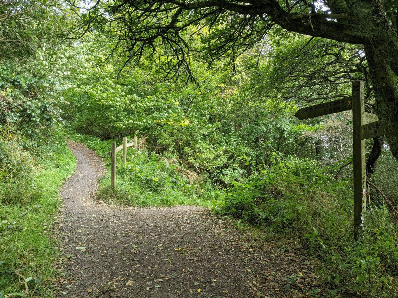 Golden Cap Walk - 4 Mile circular from Seatown