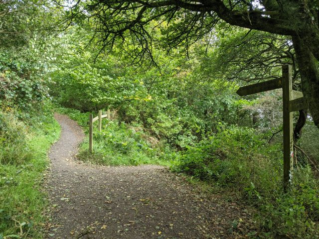 Golden Cap Walk - 4 Mile circular from Seatown