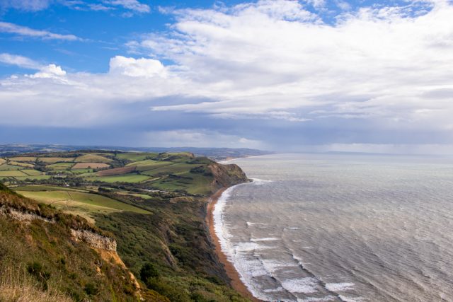 Golden Cap Walk - 4 Mile circular from Seatown