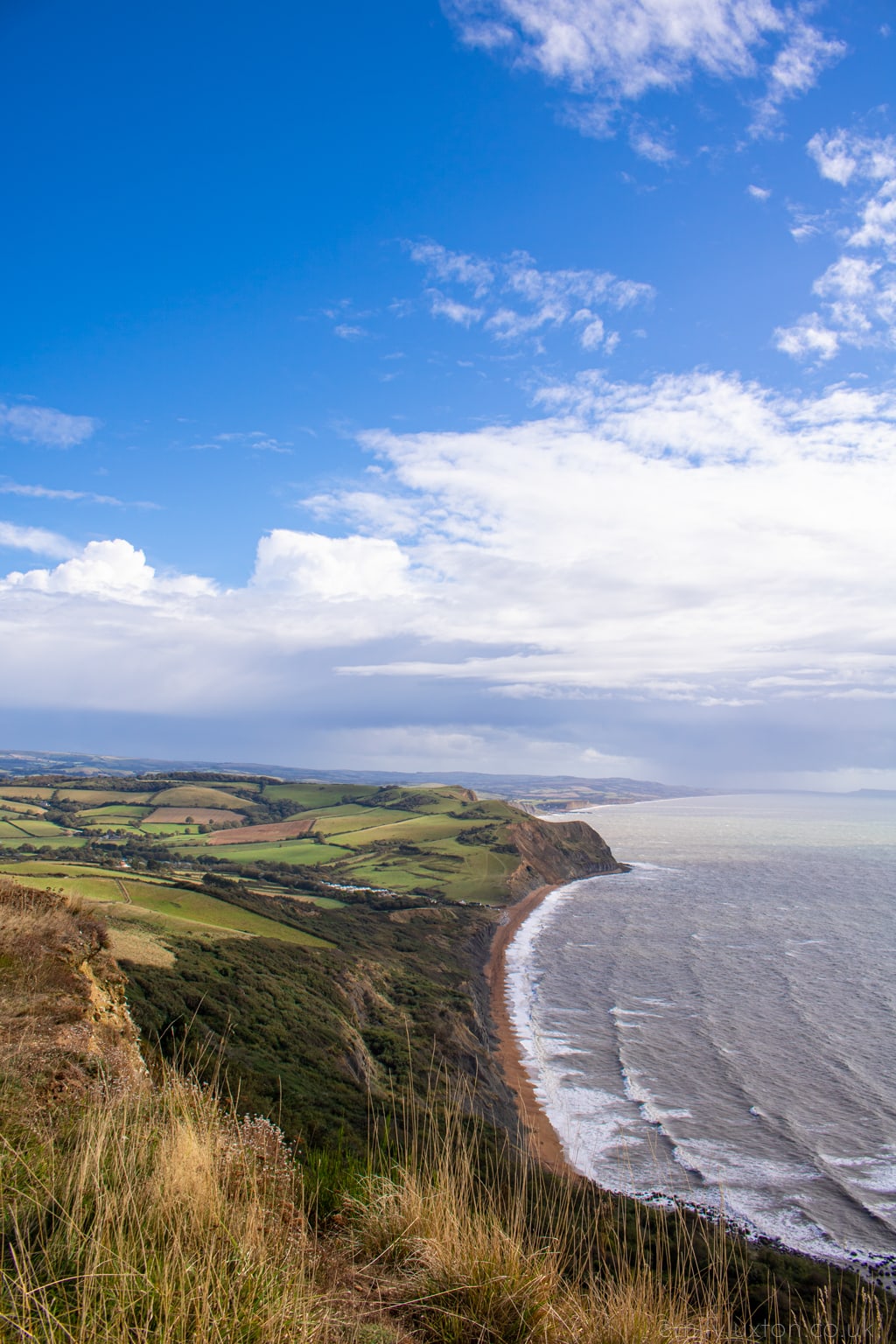 Golden Cap Walk - 4 Mile circular from Seatown