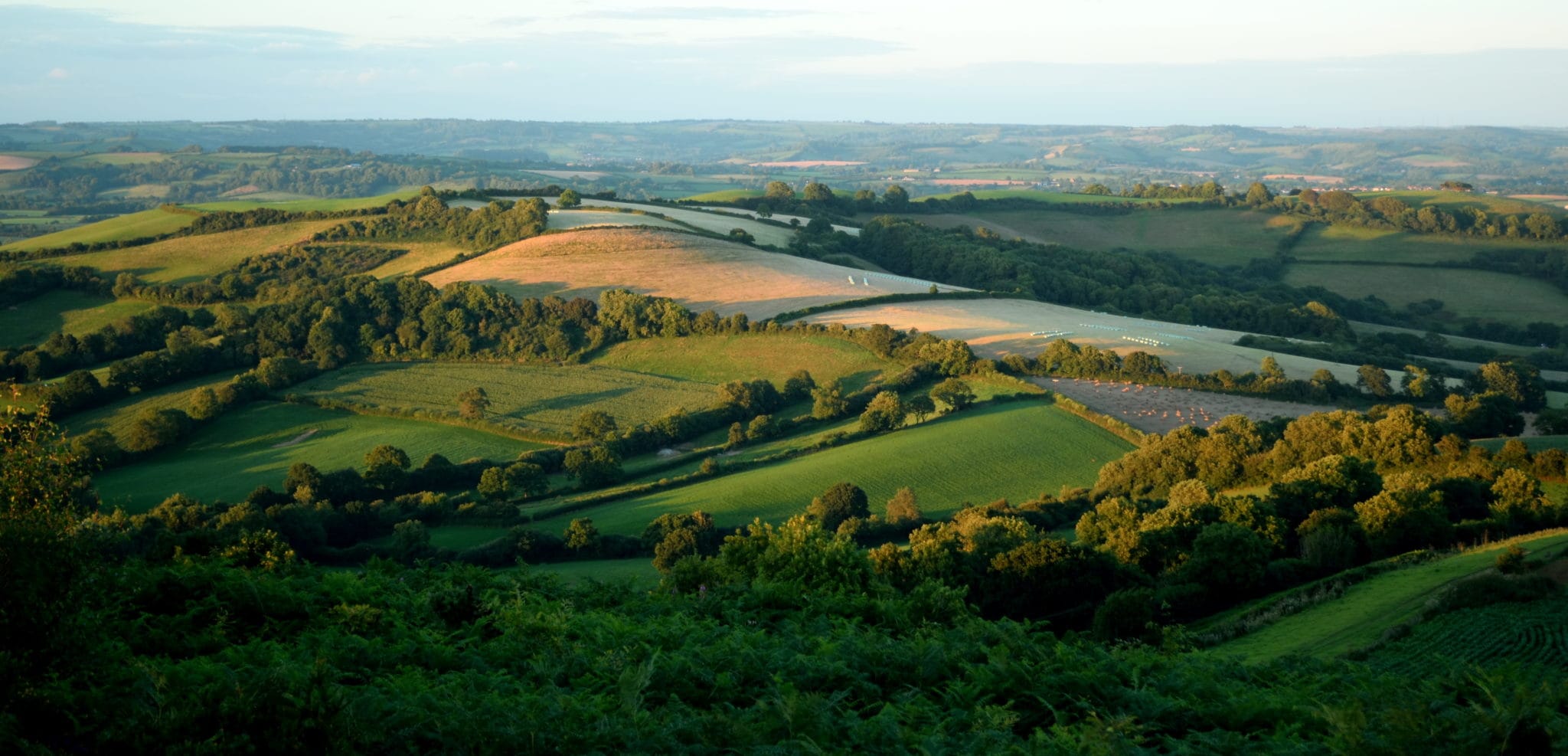 11 of the Best Things to do in and Near Charmouth