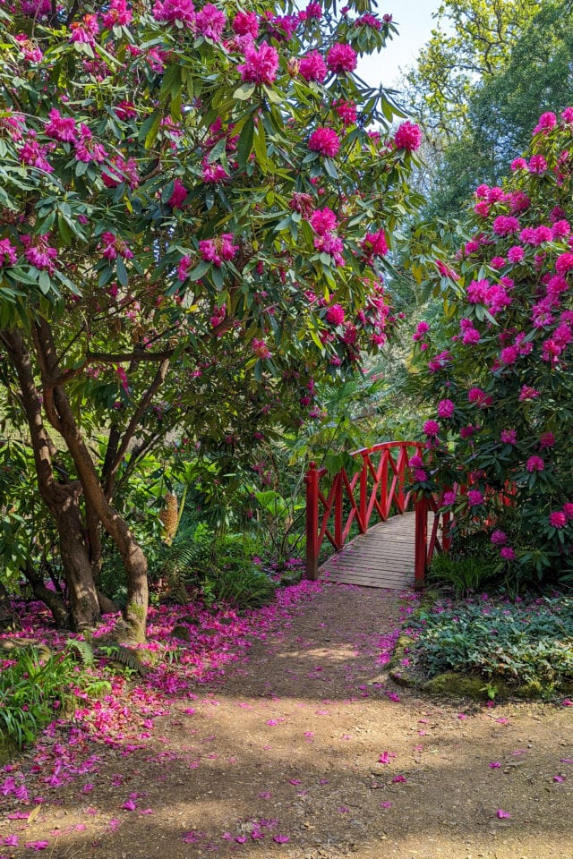 16 of the Best Gardens To Visit in Dorset