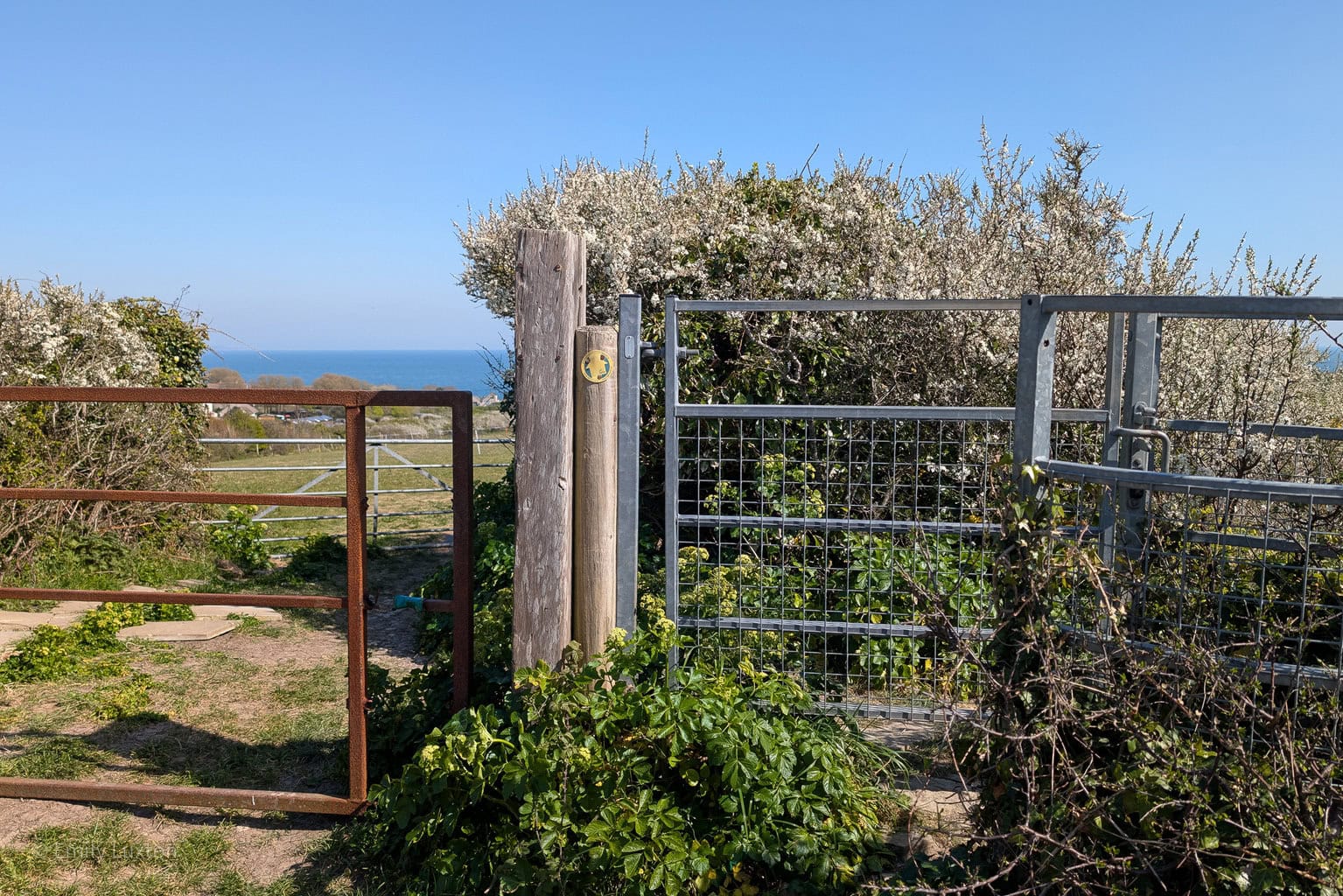 Portland Bill Walk: 4 Mile Short Circular Route Guide