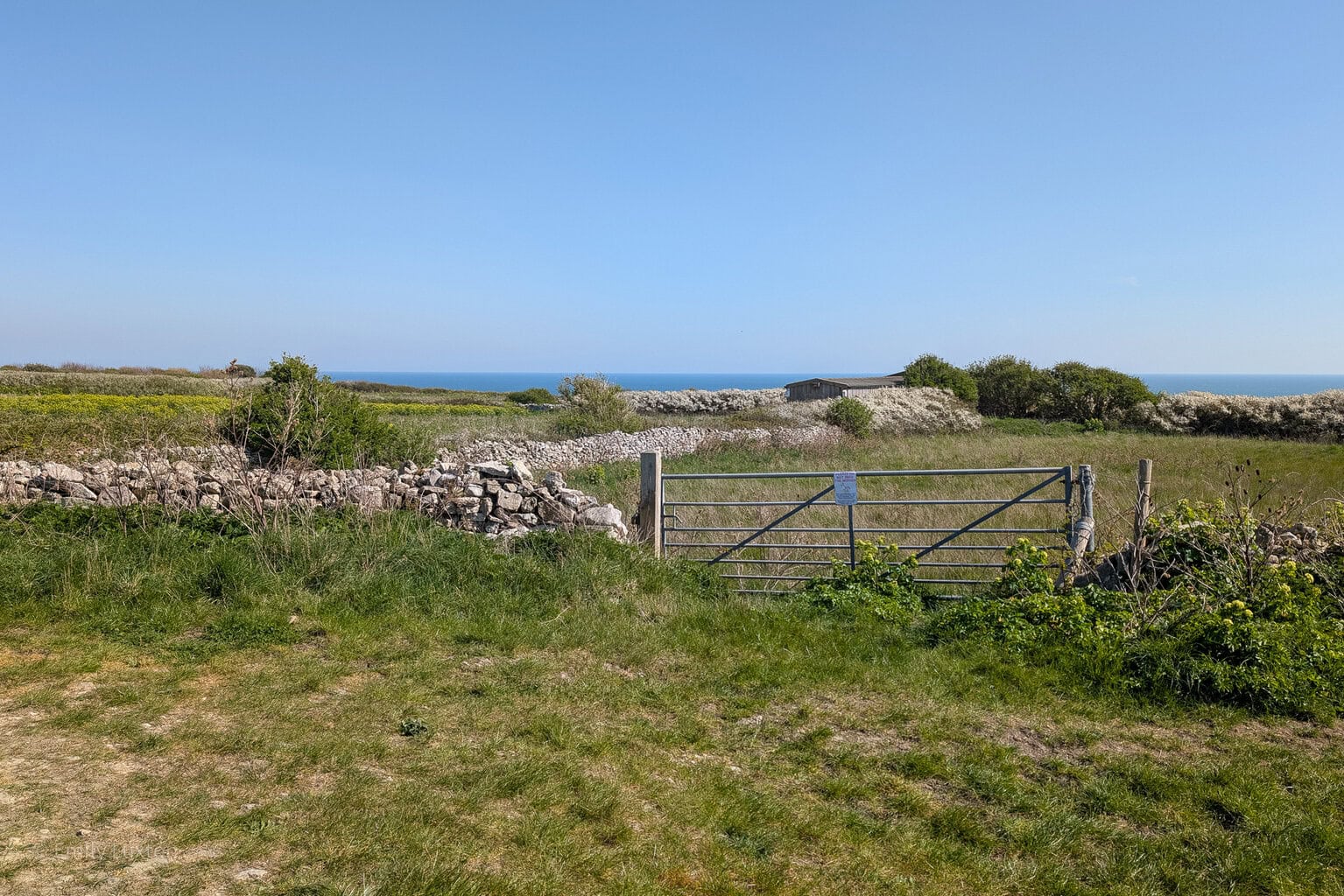 Portland Bill Walk: 4 Mile Short Circular Route Guide
