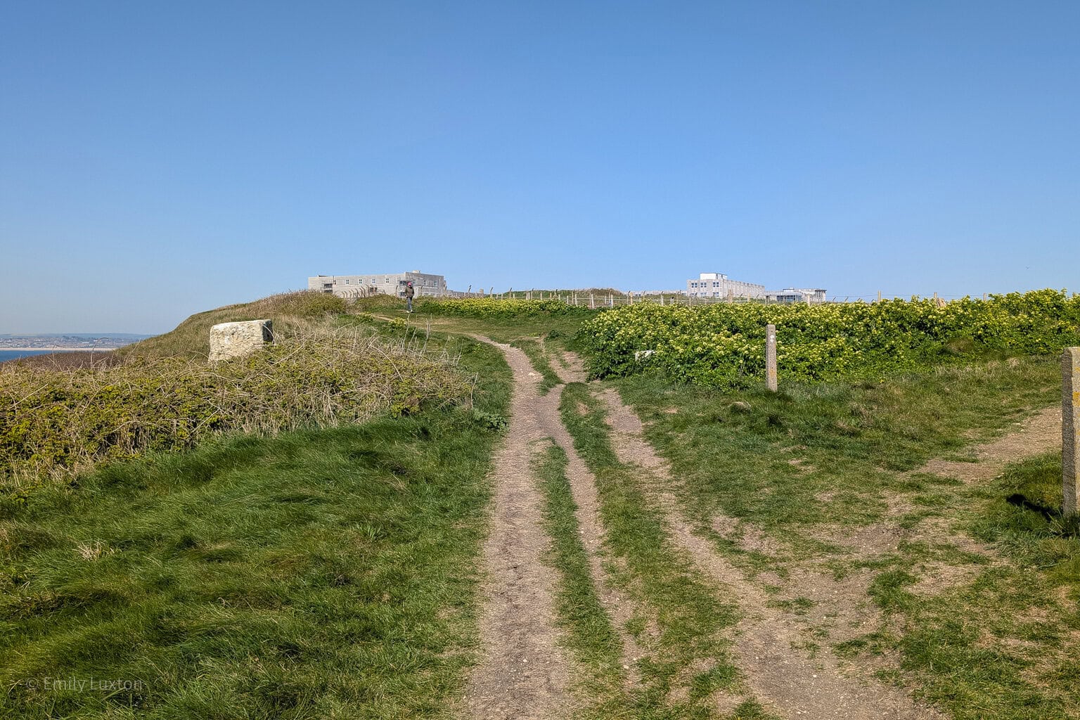 Portland Bill Walk: 4 Mile Short Circular Route Guide