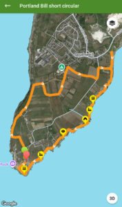 Portland Bill Walk: 4 Mile Short Circular Route Guide