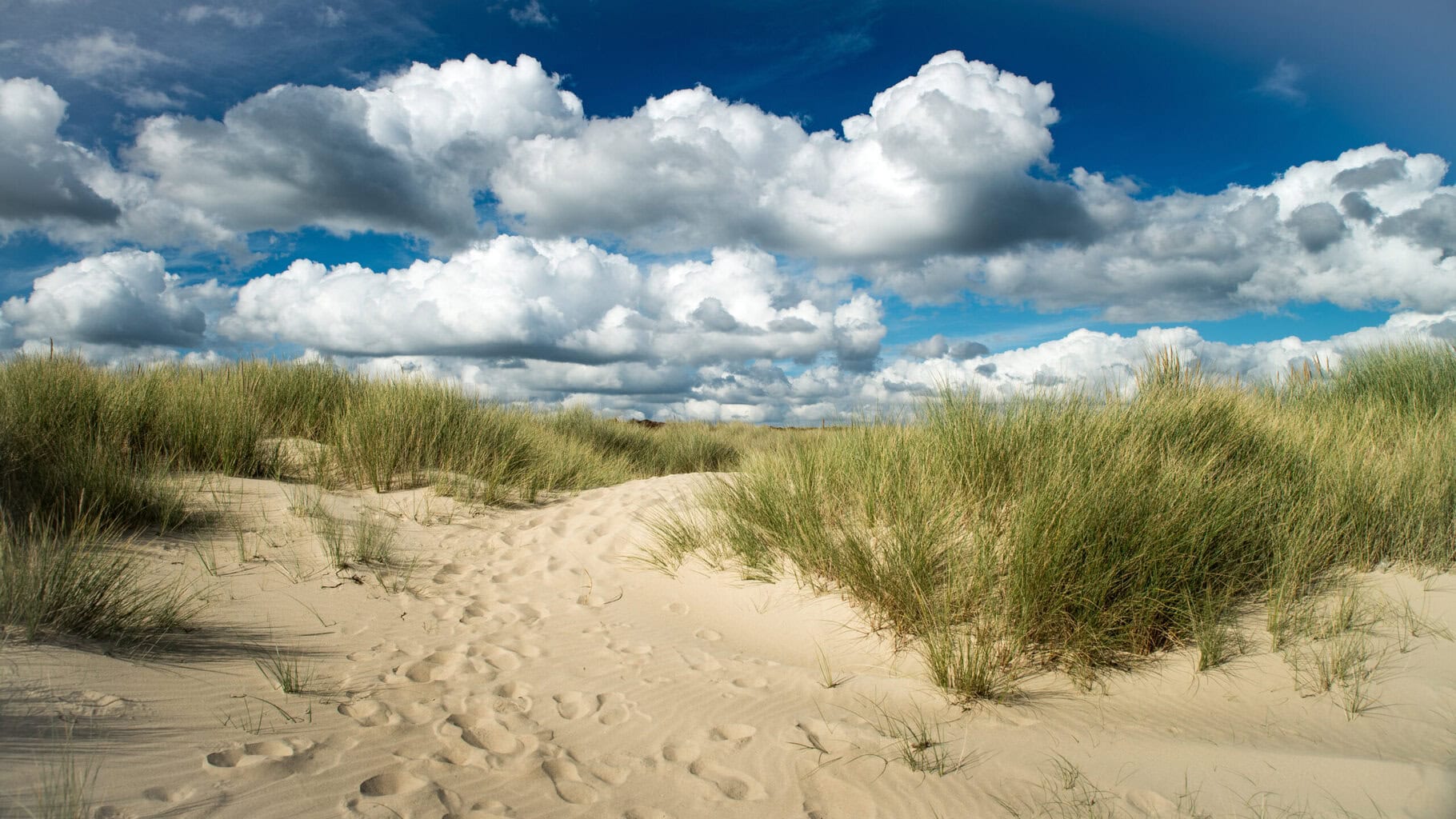 10 of the Best Beautiful Beaches in Dorset